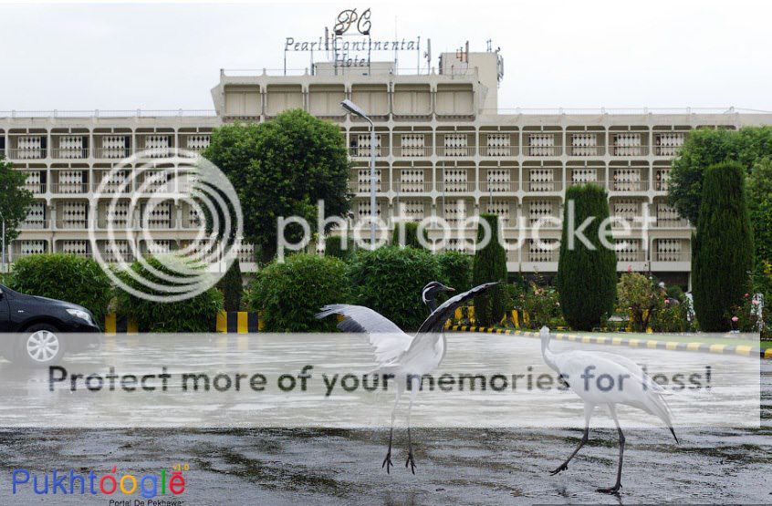 Hotels & Resorts in Pakistan | Page 3 | SkyscraperCity Forum