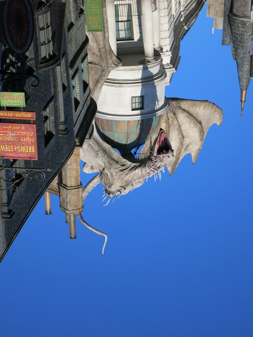 I-fer? What in the World is an I-fer? Universal/Legoland/Sea World Feb ...