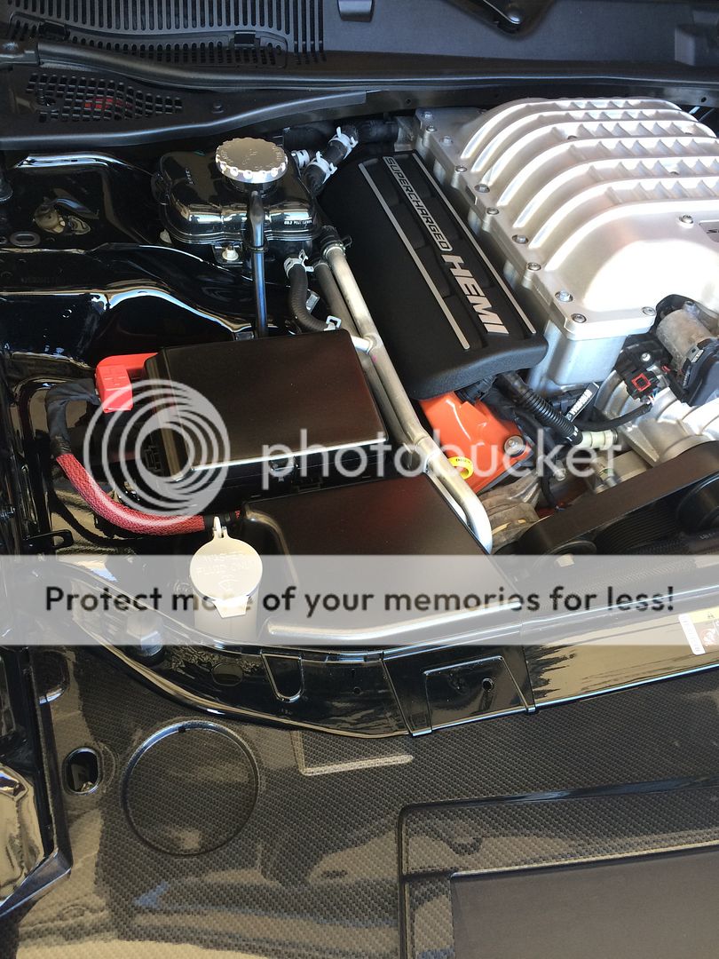 Engine bay cat pictures only | Page 2 | SRT Hellcat Forum